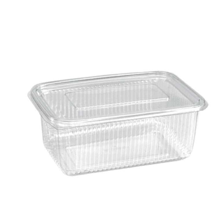 Transparent PET Plastic Boxes with Hinged Attached Lid - Pet Safe Food ...