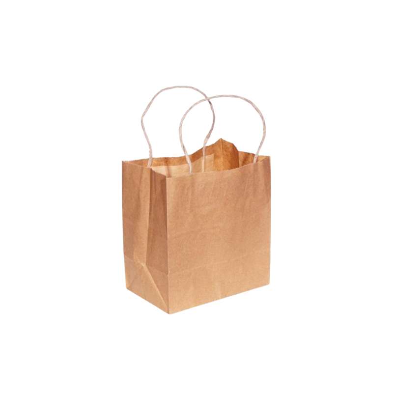 Brown Paper Carry Bag with Handle (9x5x9.5) - Pack of 25