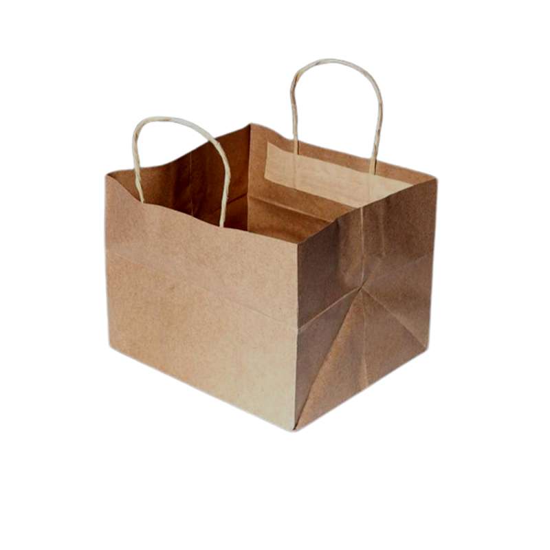 Brown Paper Carry Bag With Handle